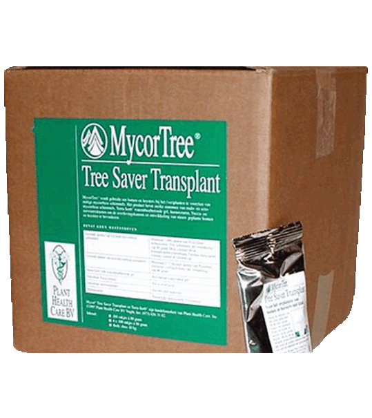 Mycor tree saver transplant (Endo + ecto mycorrhiza + gel + Yucca ...