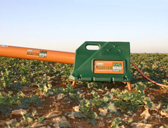 Scatterbird - Vogelverschrikkers - Materialen